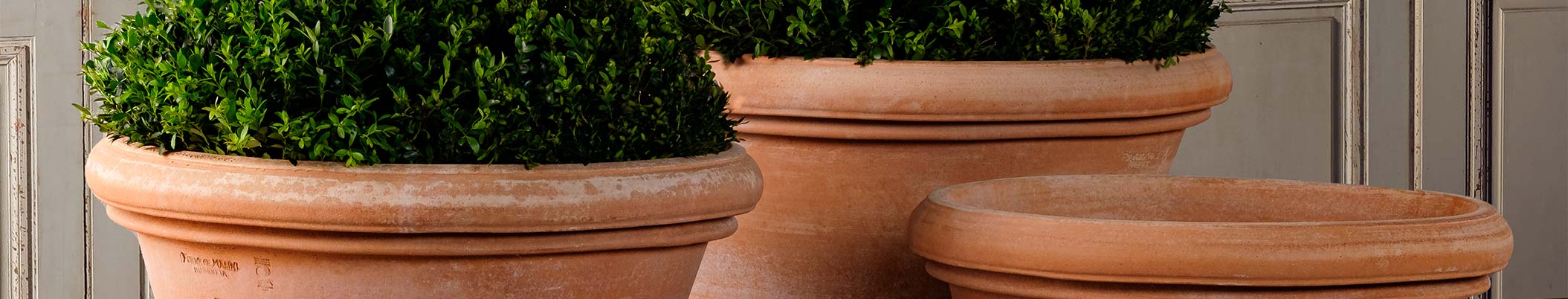 ROUND POTS – Seibert-Rice