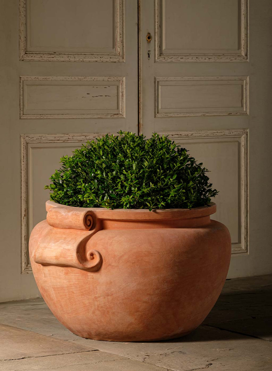 Cachepot Romano – Seibert-Rice