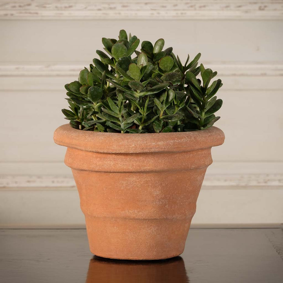 Artisan Rolled Rim Planter, Small – Seibert-Rice