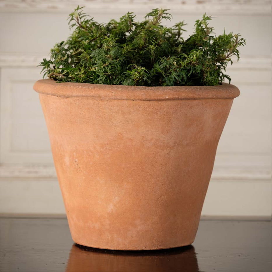 Tom Pot – Seibert-Rice