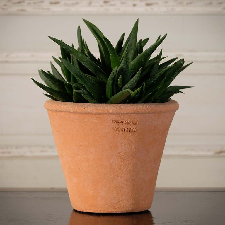 Tom Pot – Seibert-Rice