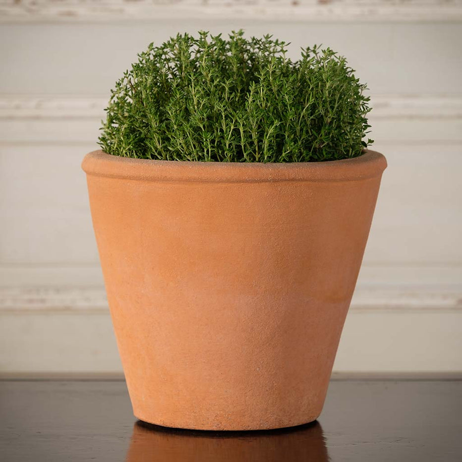 Tom Pot – Seibert-Rice